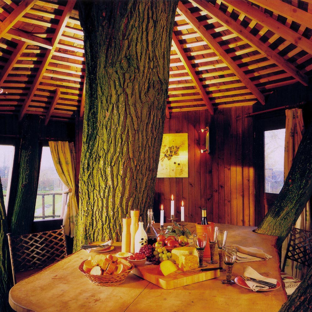 Is it Safe to have Electricity in a Treehouse? - Amazon Joiners