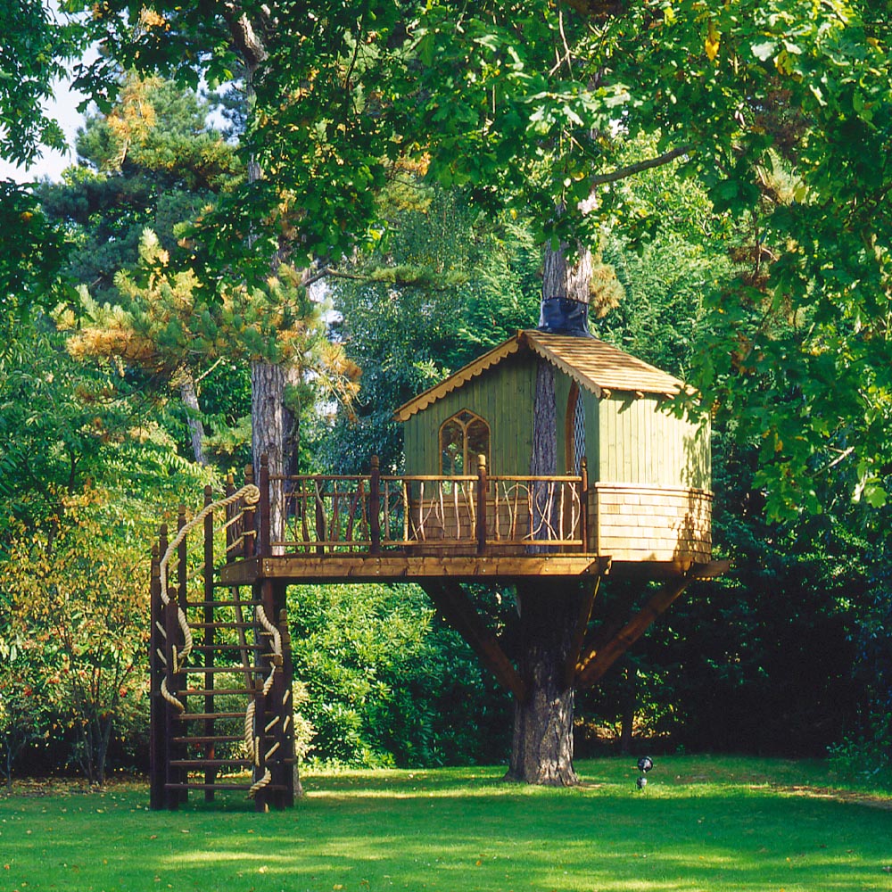 Environmental Considerations when Building a Treehouse - Amazon Joiners