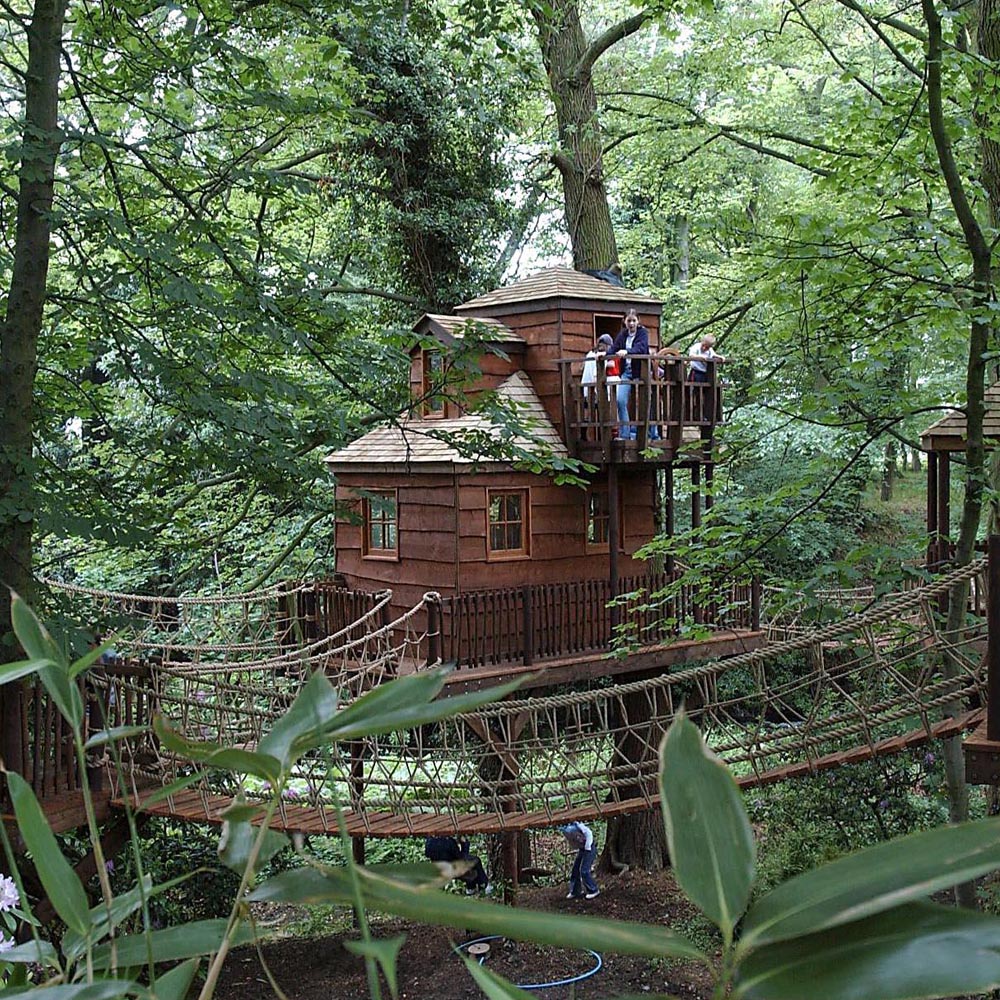 Two-Storey Treehouses and Their Feasibility - Amazon Joiners